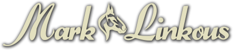 story - Mark Linkous